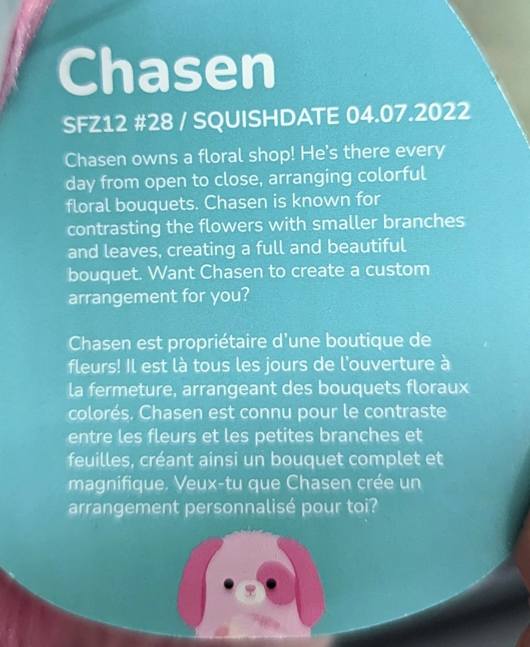 Chasen (Fuzz-A-Mallows) the Dog Squishmallows | SquadApp