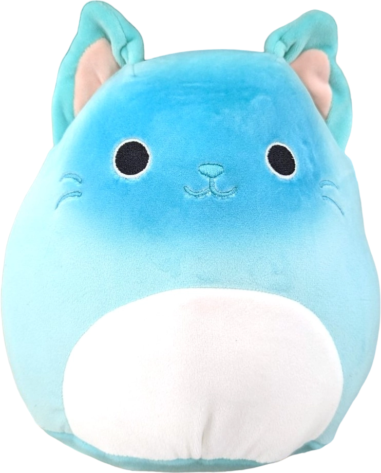 Sigrid the Siamese Cat Squishmallows Pets, 5B 4.30.23 | SquadApp