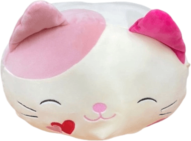 Roxy the Cat Squishmallows Valentine | SquadApp