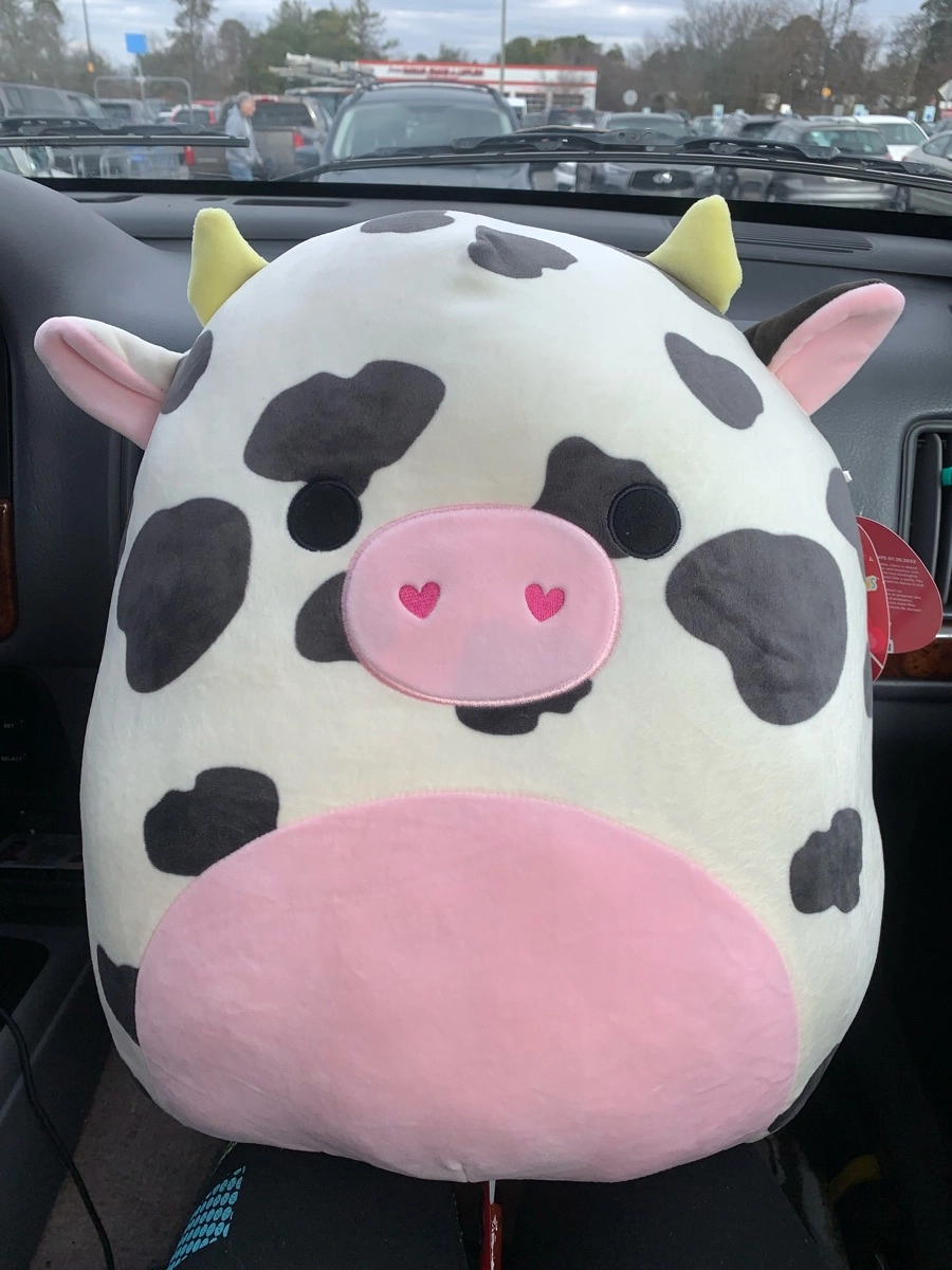 Colin (Heart Nostrils) the Cow Squishmallows Valentines 2023,Valentines ...