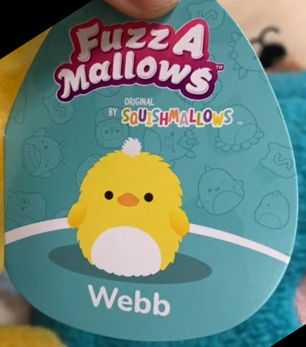 Webb (Fuzz-A-Mallows) the Duck Squishmallows | SquadApp