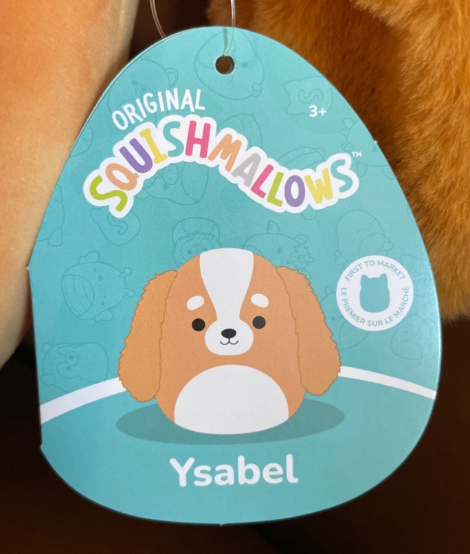 Ysabel the Dog Squishmallows Pets,5B 4.30.23 | SquadApp