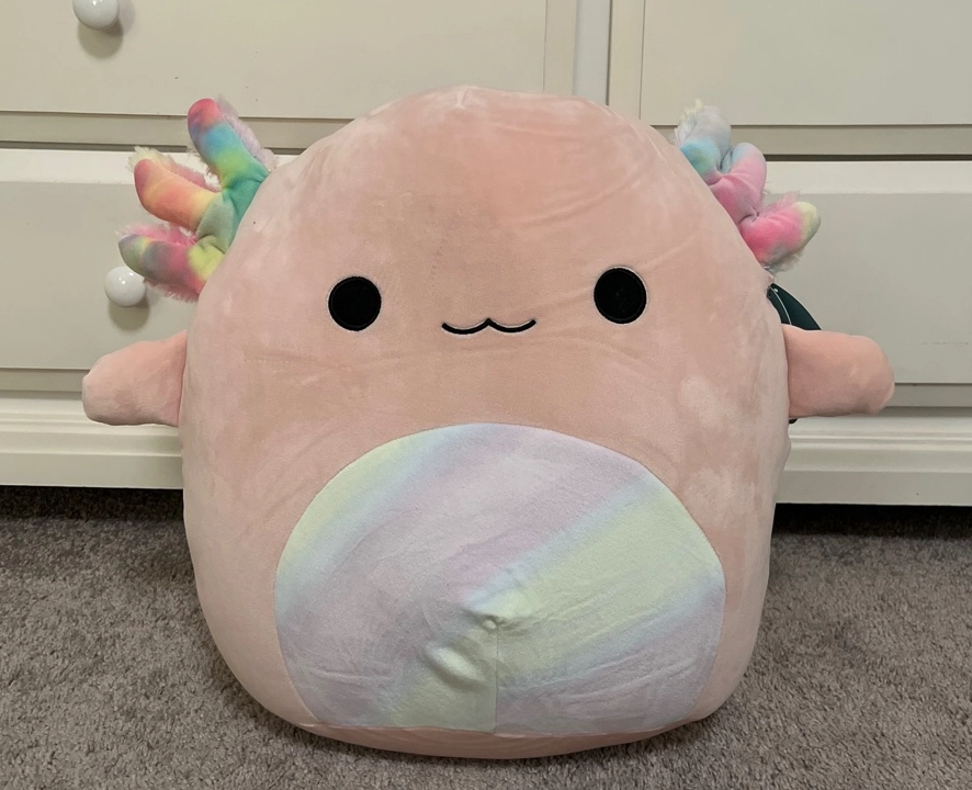 Archie the Axolotl Squishmallows Over the Rainbow,Best of Styles, 5B 5. ...