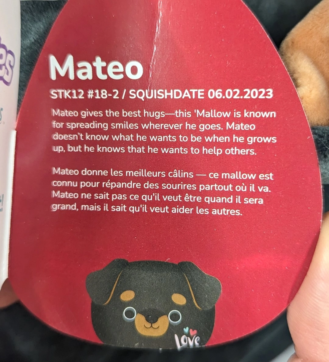Mateo the Rottweiler (Dog) Squishmallows Valentine, Valentines 2024 ...