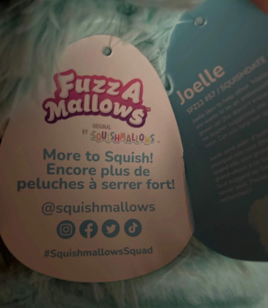 Joelle (Fuzz-A-Mallows) the Bigfoot Squishmallows Rare | SquadApp