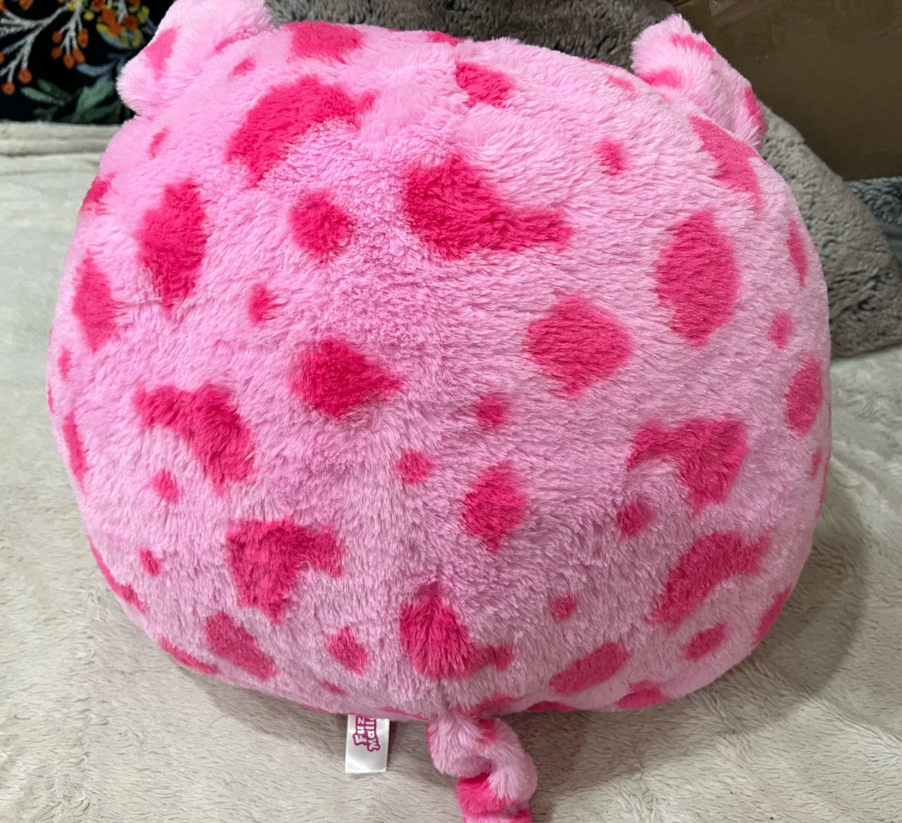 Gwendle (Fuzz-A-Mallows) the Pig Squishmallows | SquadApp