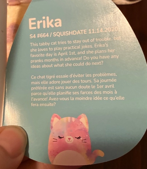 Erika the Cat Squishmallows | SquadApp