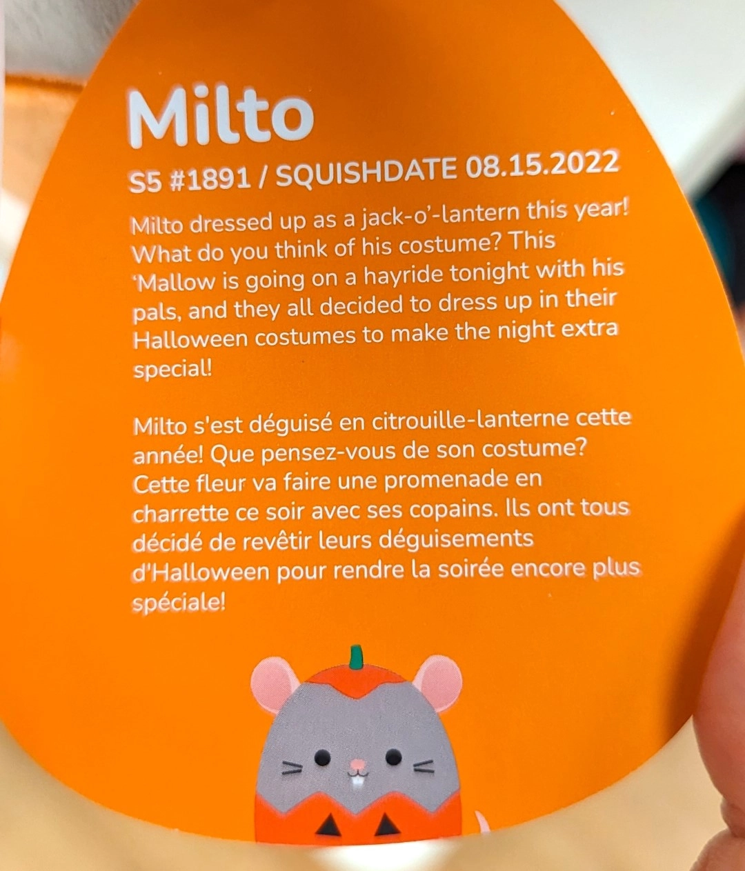 Milto the Mouse Squishmallows Halloween 2023 | SquadApp