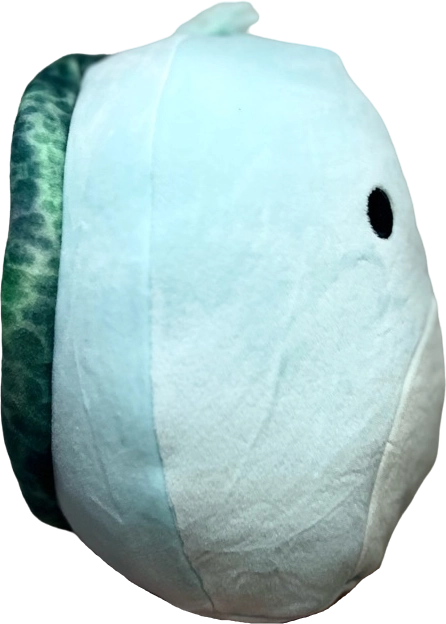 Onica the Turtle Squishmallows Pets | SquadApp