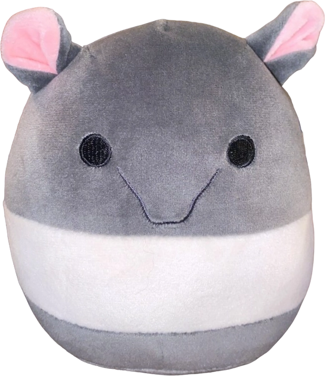 Abbitt the Tapir Squishmallows Newbie | SquadApp