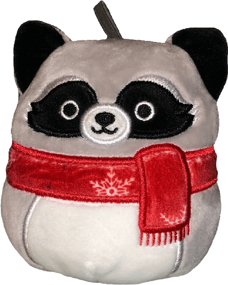 Rocky the Raccoon Squishmallows | SquadApp