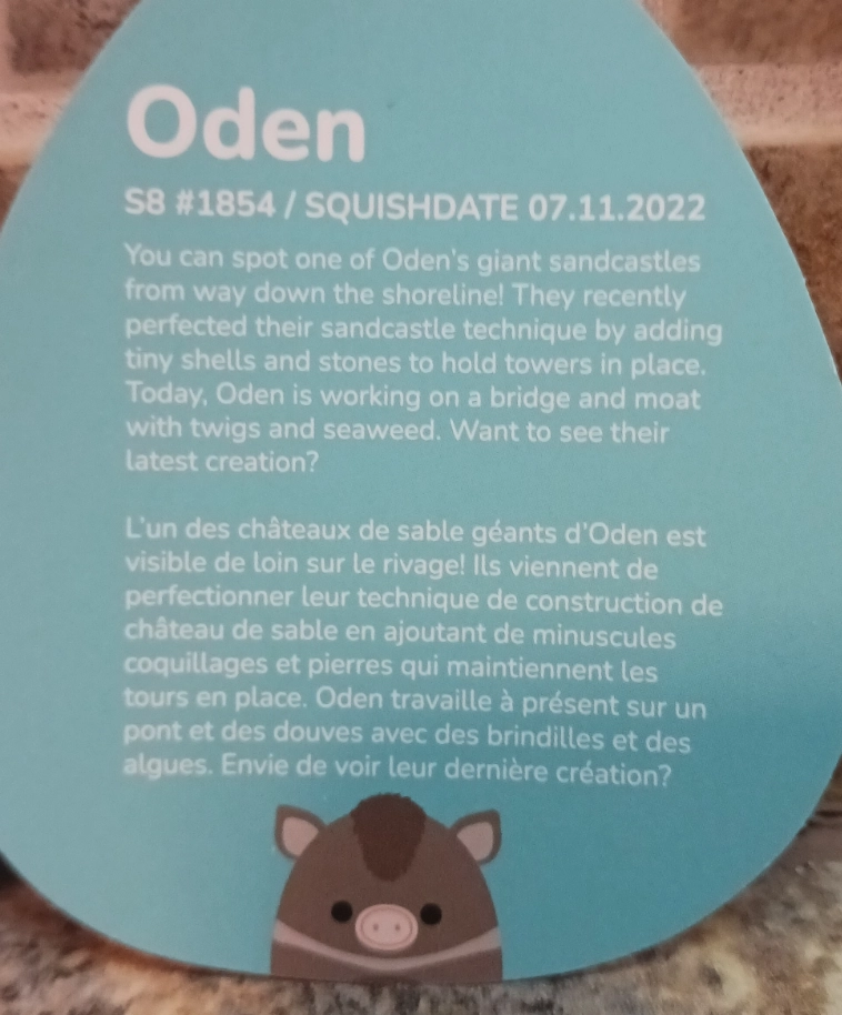 Oden the Peccary Pig Squishmallows Desert | SquadApp