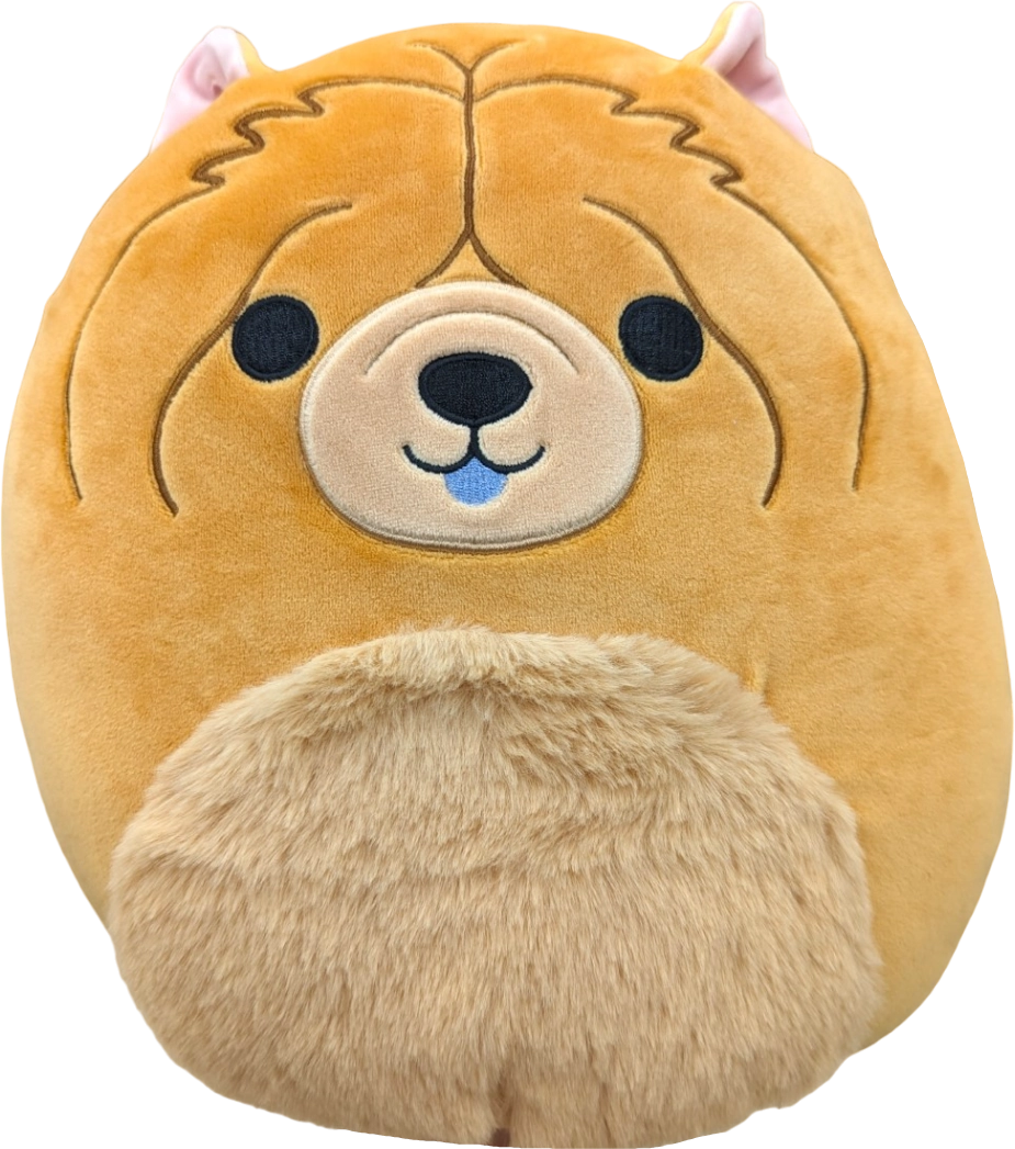 Sandro the Chow (Dog) Squishmallows Ultra Rare | SquadApp