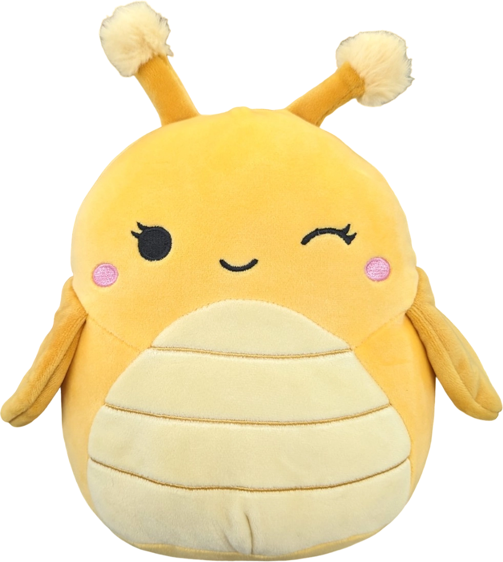 Greer the Grasshopper Squishmallows Cottagecore, 5B 11.19.23 | SquadApp