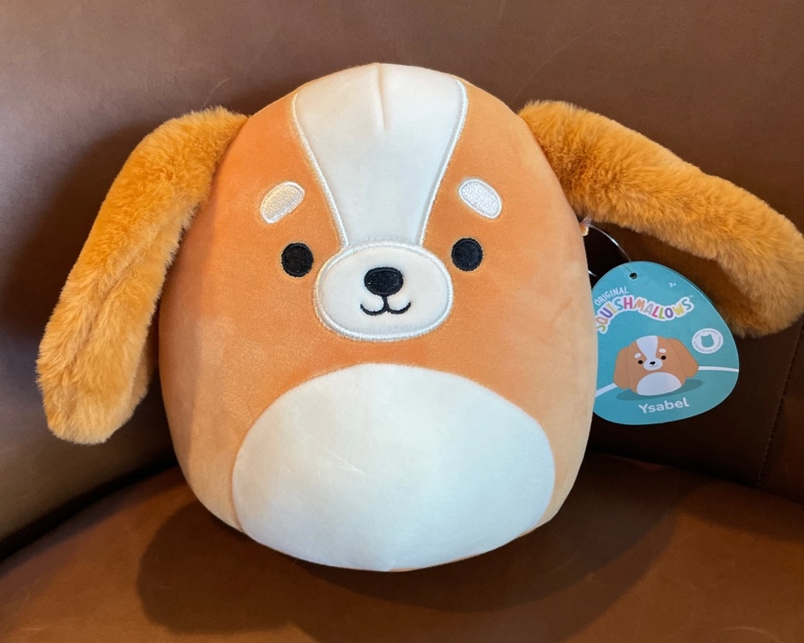 Ysabel the Dog Squishmallows Pets,5B 4.30.23 | SquadApp