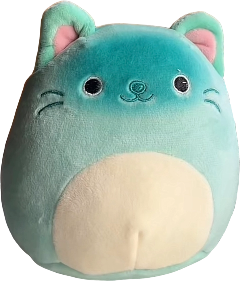 Sigrid the Siamese Cat Squishmallows Pets, 5B 4.30.23 | SquadApp