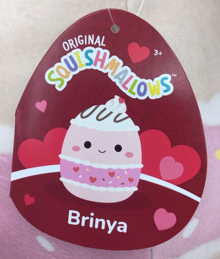 Brinya the Cake Squishmallows Valentines 2023, Valentines 2024 | SquadApp