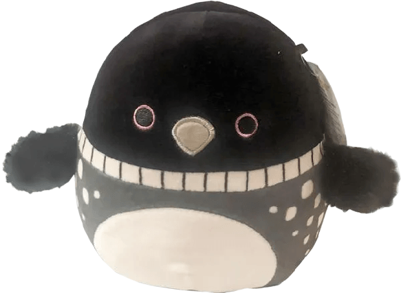 Loon Squishmallows Plush Toys