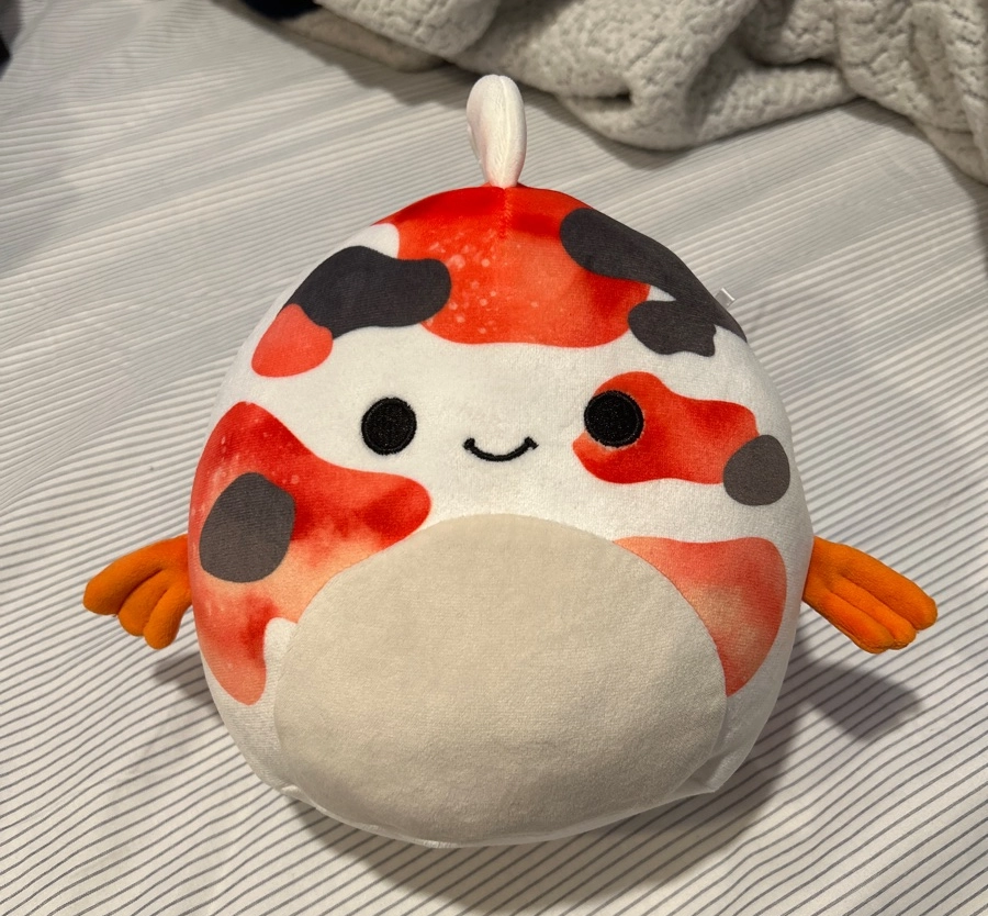 Dandii (Red/Orange Fins) the Koi Fish Squishmallows Sealife | SquadApp