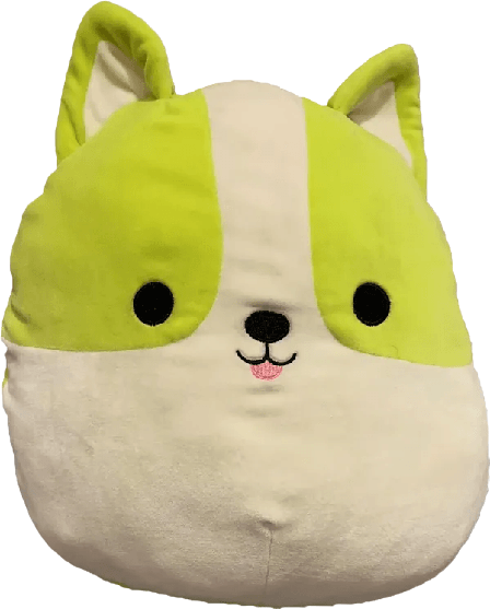 Reginald (Bright) the Corgi (Dog) Squishmallows Bright | SquadApp