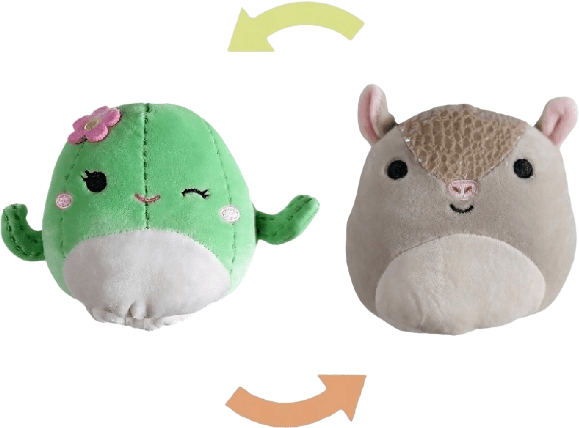 Maritza & Thompson the Cactus Armadillo Squishmallows | SquadApp
