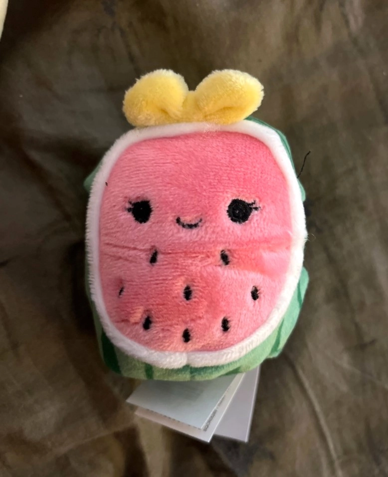 Wanda (Yellow Bow) the Watermelon Squishmallows | SquadApp