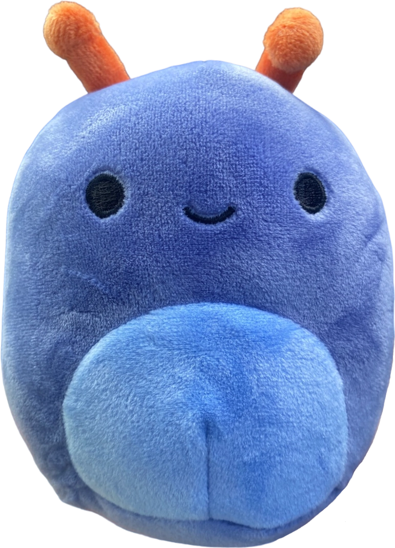 Preeti the Slug Squishmallows | SquadApp