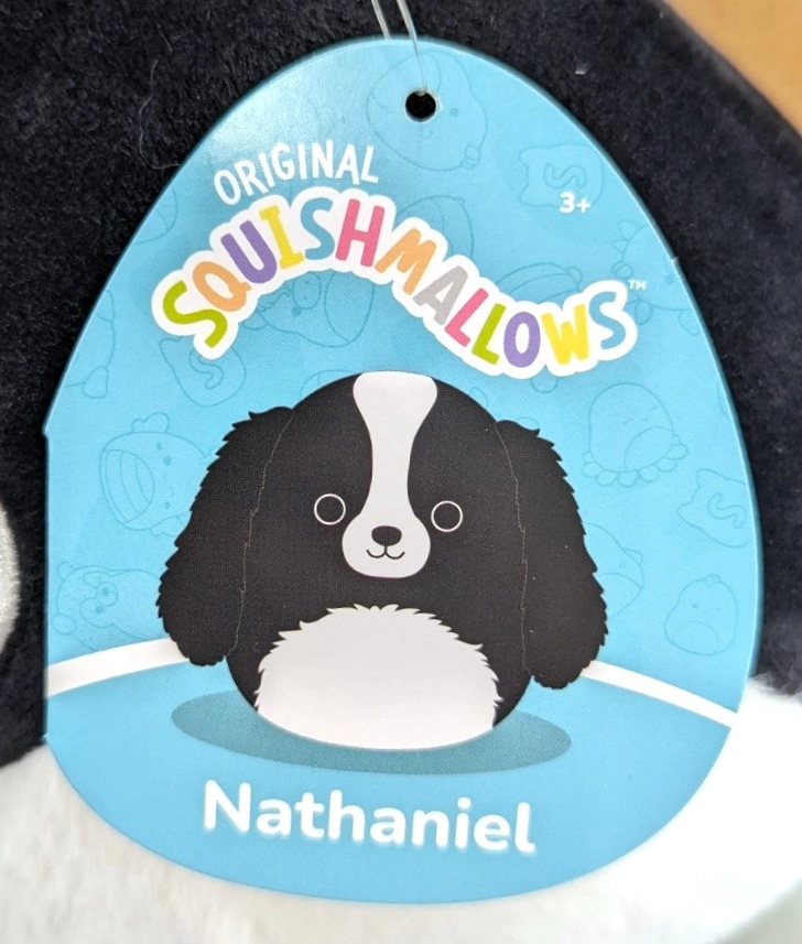 Nathaniel the Cocker Spaniel (Dog) Squishmallows Pets, 5B 4.30.23 ...