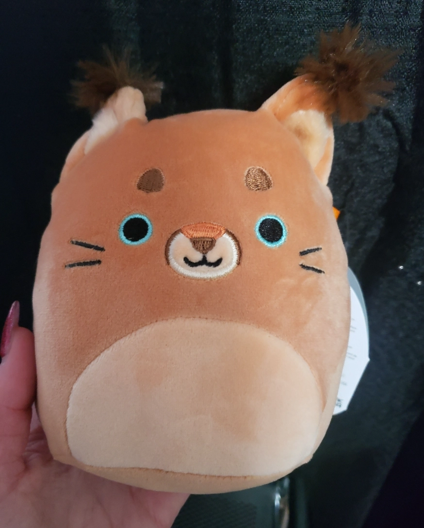 Ferraz the Caracal Cat Squishmallows Everyday Spring | SquadApp