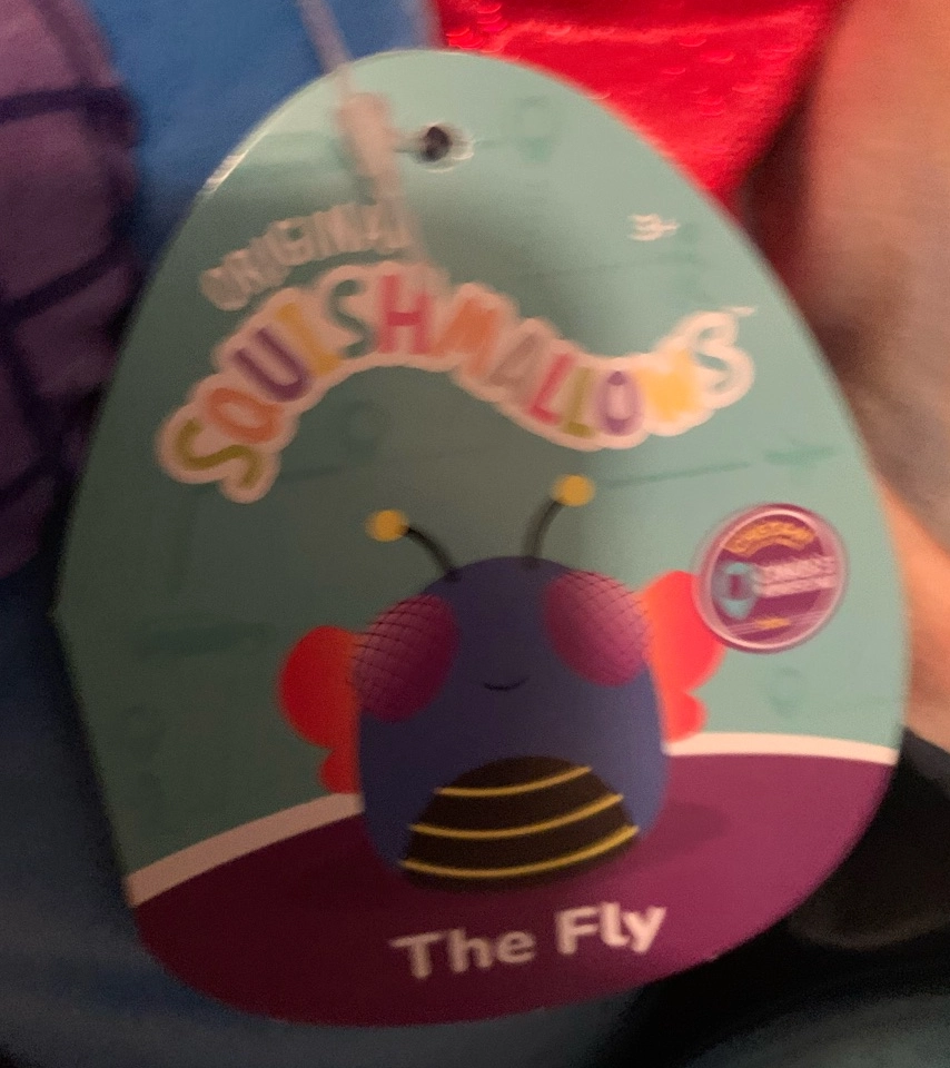 The Fly the Fly Squishmallows Check-In Series | SquadApp
