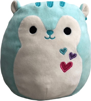 Thomas the Squirrel Squishmallows Valentine | SquadApp