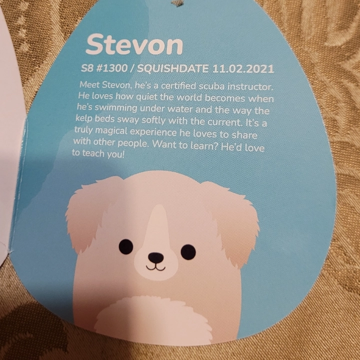 Stevon the Golden Retriever (Dog) Squishmallows | SquadApp