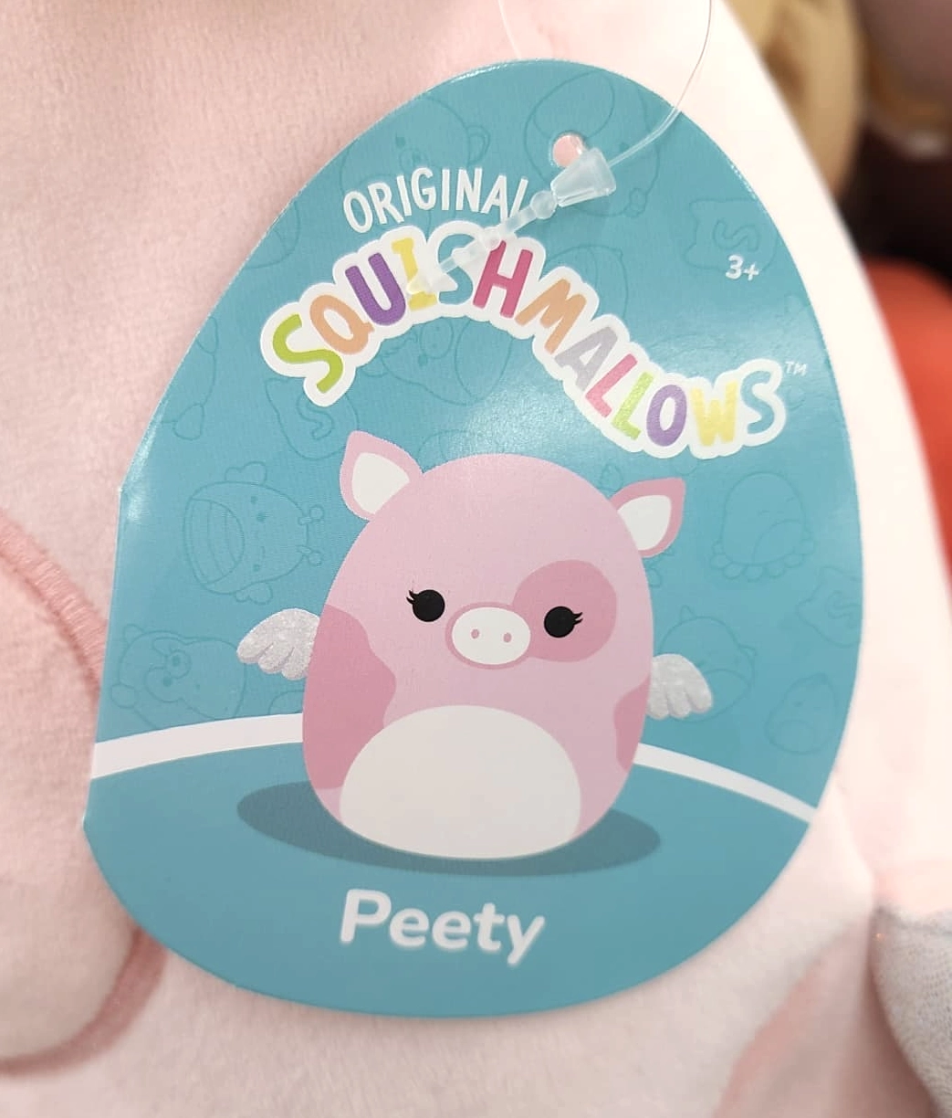 Peety the Flying Pig Squishmallows Wildlife,5B 4/2/23 | SquadApp