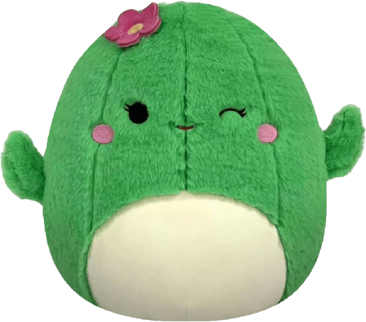 Cactus squishmallow store