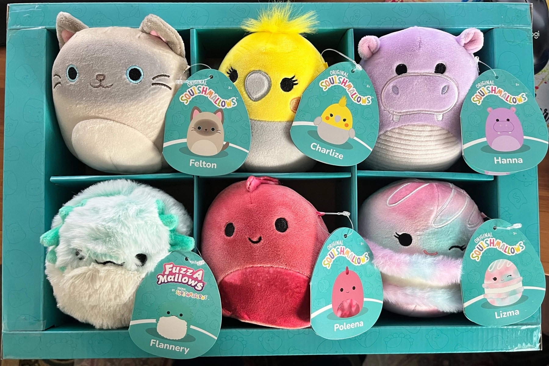 Box Set (Multi Style) the Box Set Squishmallows | SquadApp