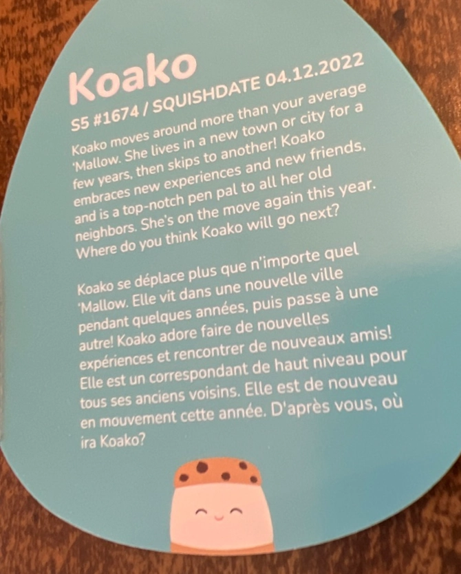 Koako the Ice Cream Sandwich Squishmallows Food,5B 4/16/23 | SquadApp