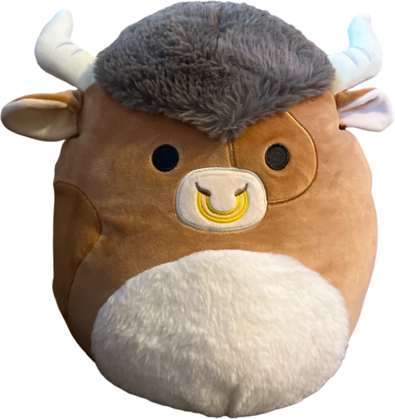 Shep the Bull Squishmallows Wildlife,5B 4/2/23 | SquadApp