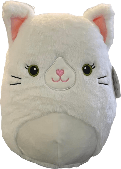 Kelsey (Big Eyes, Fuzzy) the Cat Squishmallows | SquadApp