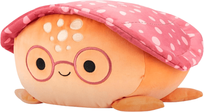 Caine (Stackable) the Turtle Squishmallows | SquadApp