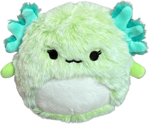Mipsy (Fuzz-A-Mallows) the Axolotl Squishmallows | SquadApp