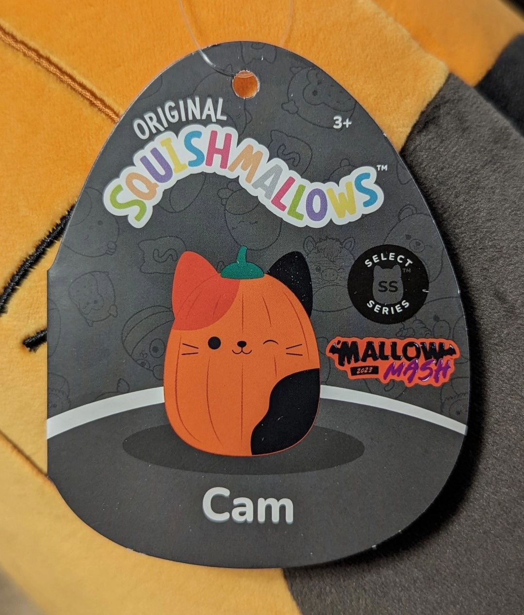 Cam (Pumpkin) the Cat Squishmallows 'Mallow Mash 2023, Halloween 2023 ...