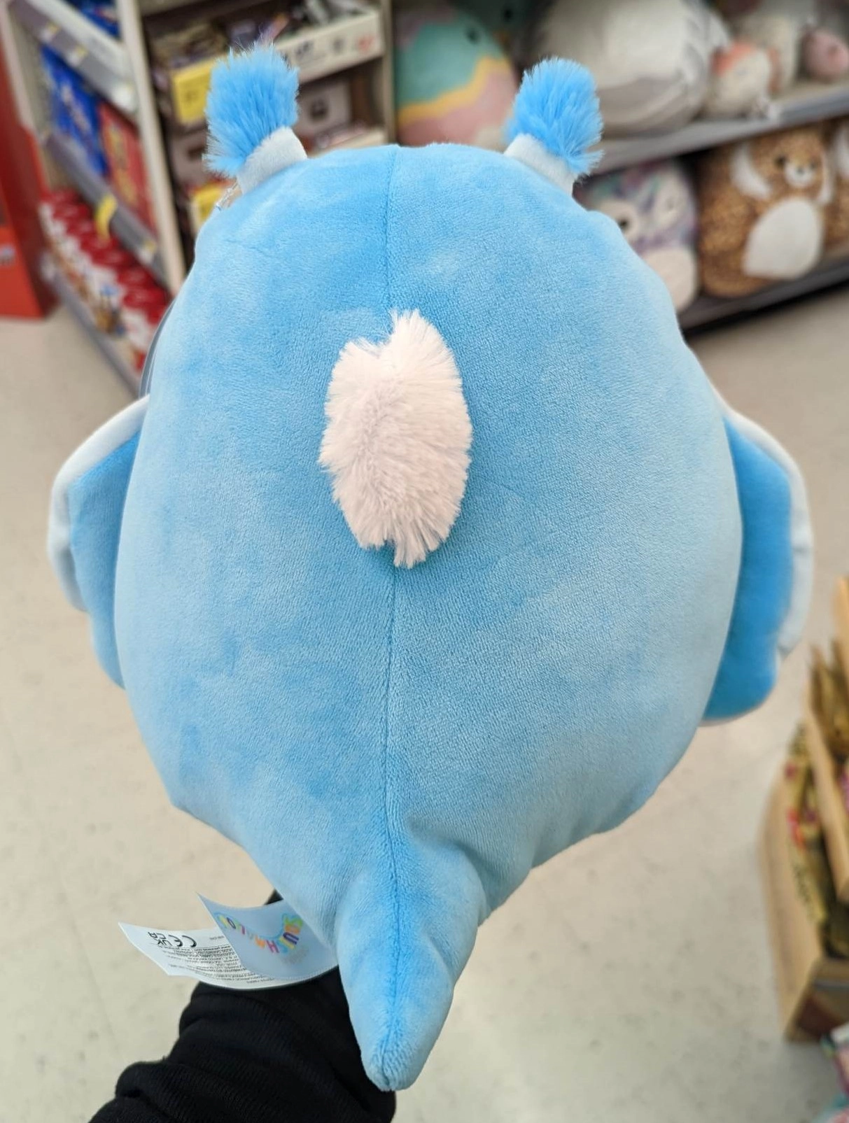 Josa the Sea Slug Squishmallows | SquadApp
