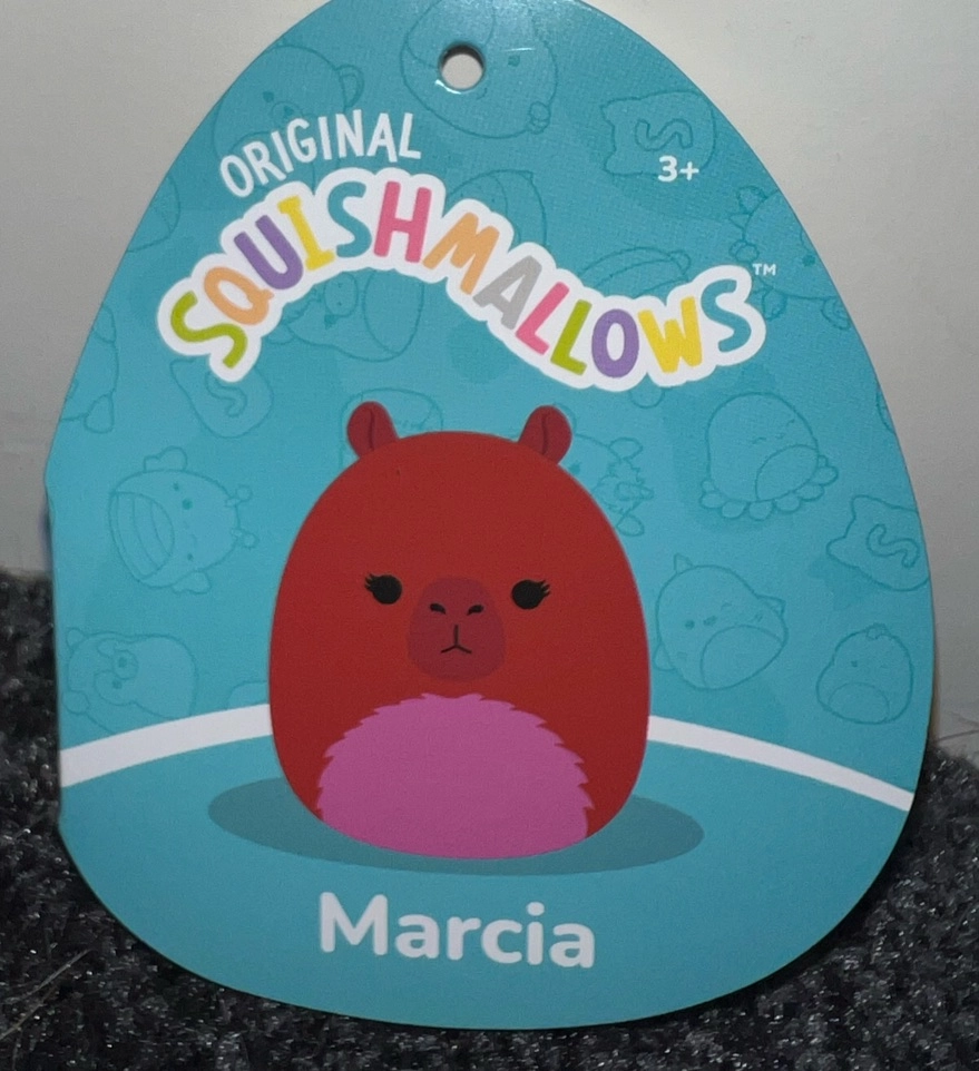 Marcia the Capybara Squishmallows | SquadApp
