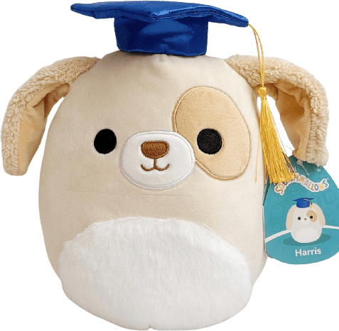 Harris (Graduation) the Dog Squishmallows Graduation | SquadApp