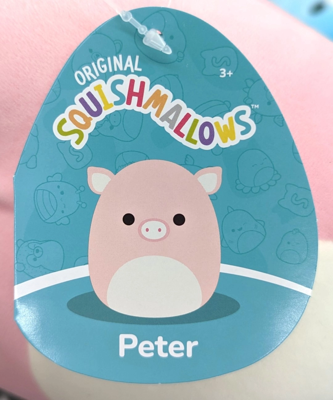 Peter the Pig Squishmallows Original,Farm,5B 4/2/23 | SquadApp