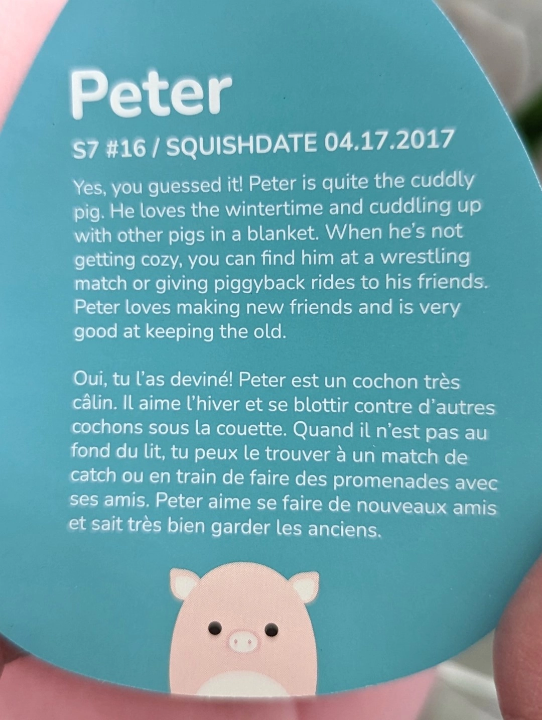 Peter the Pig Squishmallows Original,Farm,5B 4/2/23 | SquadApp