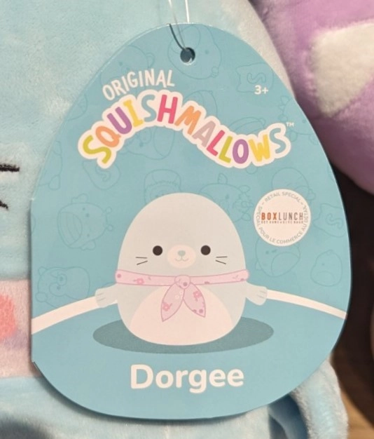 Dorgee the Seal Squishmallows Sealife | SquadApp