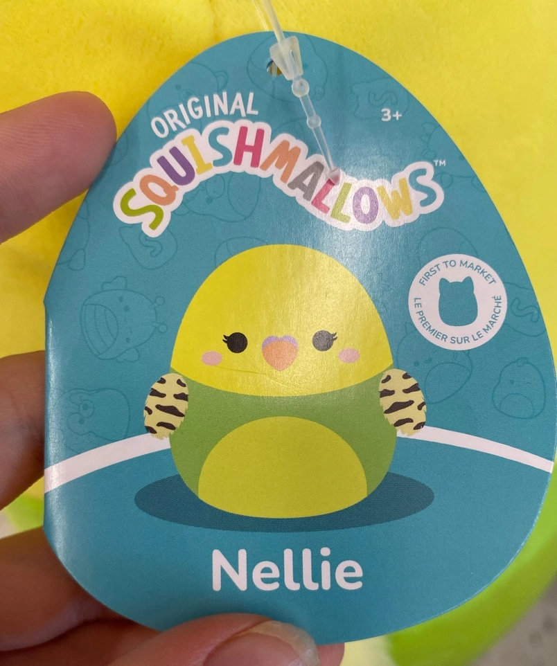 Nellie the Parakeet Squishmallows | SquadApp