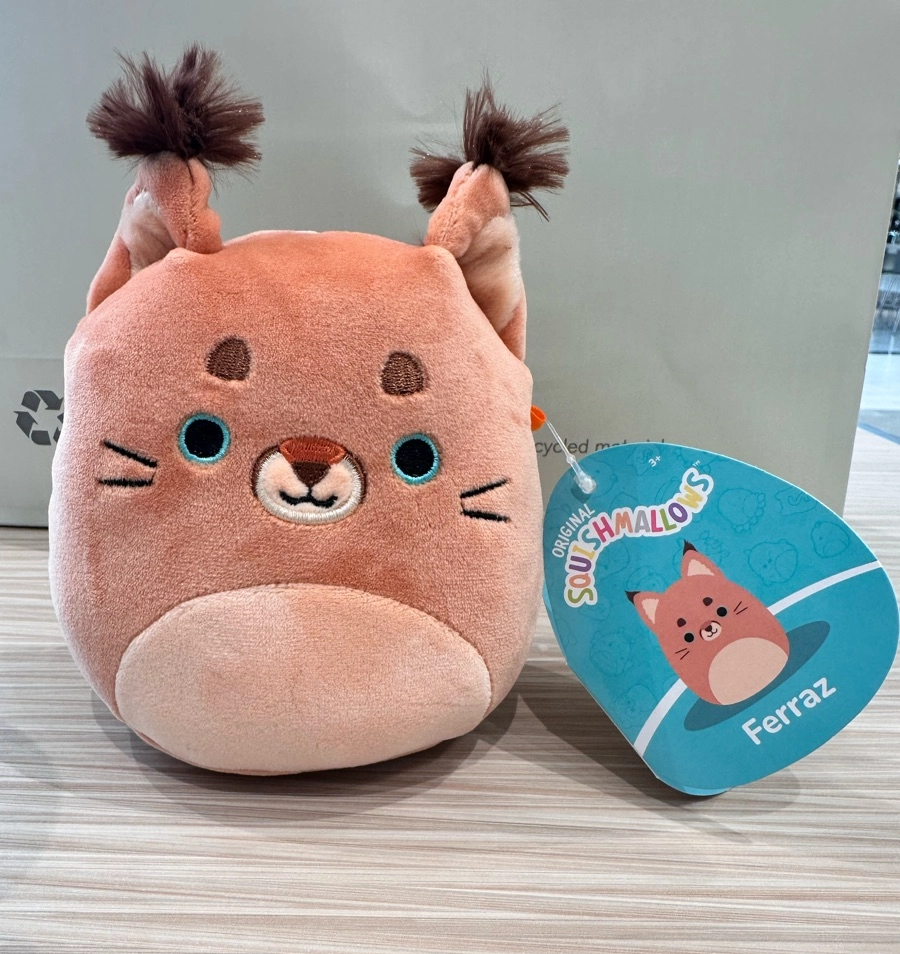 Ferraz the Caracal Cat Squishmallows Everyday Spring | SquadApp