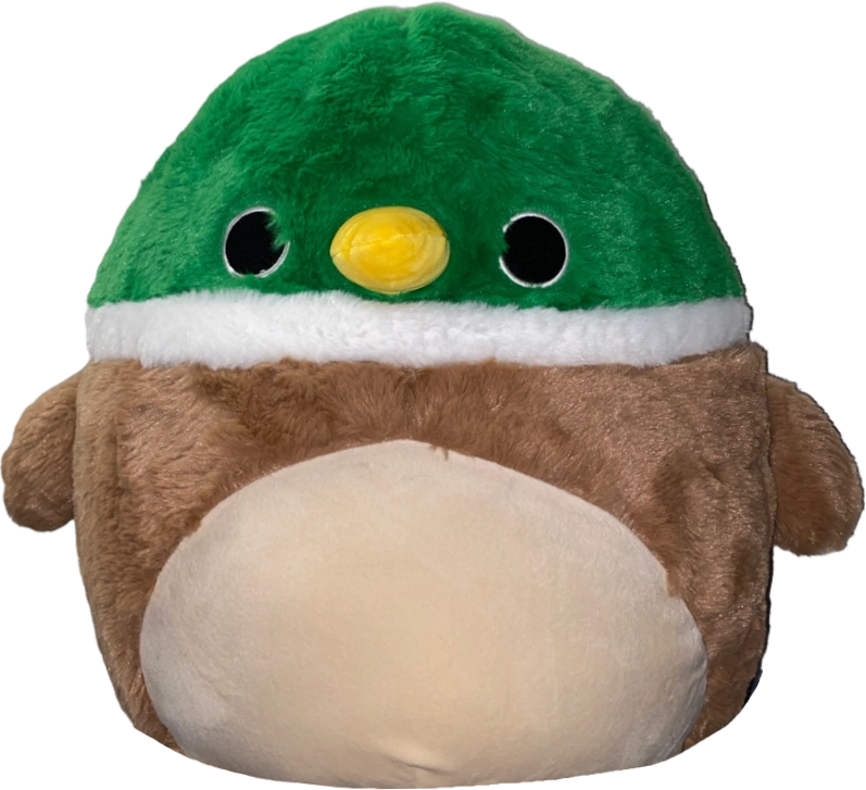 Avery (Big Eyes, Fuzz-A-Mallows) the Duck Squishmallows | SquadApp